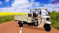 China 250cc 300C Cargo Tricycle Motorized Tricycle Gasoline 3 Wheels Motorcycle in Rose Gold for sale