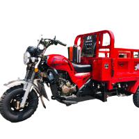 China Red DAYANG 2021 Heavy Loading Truck Tricycle 150CC/175CC/200CC/250CC Motorized Tricycle for sale