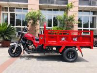 China Red DAYANG 2021 Heavy Loading Truck Tricycle 150CC/175CC/200CC/250CC Motorized Tricycle for sale