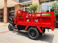 China Red DAYANG 2021 Heavy Loading Truck Tricycle 150CC/175CC/200CC/250CC Motorized Tricycle for sale
