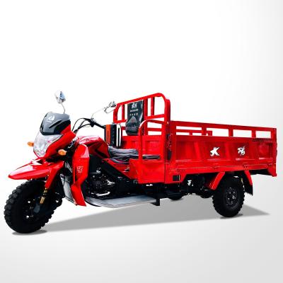 China DAYANG 2021 Model Motorized Tricycle 250 CC Gasoline Cargo Tricycle RUITENG Red 28 A for sale