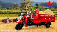 China DAYANG 2021 Model Motorized Tricycle 250 CC Gasoline Cargo Tricycle RUITENG Red 28 A for sale