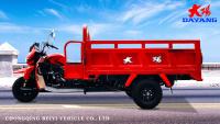 China DAYANG 2021 Model Motorized Tricycle 250 CC Gasoline Cargo Tricycle RUITENG Red 28 A for sale