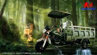 China DAYANG 200cc/250cc/300cc Cargo Tricycle for Passenger Transport in Tanzania and Africa for sale