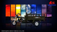 China 150cc Engine Classical and Light Loading Truck Cargo Tricycle with Hydraulic Rear Brake for sale
