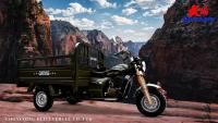 China 150cc Engine Classical and Light Loading Truck Cargo Tricycle with Hydraulic Rear Brake for sale