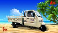 China Dayang 3wheels Motorcycle Tricycle with Customized Cargo Box Size 2.4*1.5 and 12V Power for sale