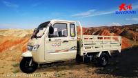China 800cc Popular Model Three Wheel Cargo Tricycle Max Champagne Body for Well Sell Dayang for sale