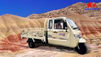 China 800cc Popular Model Three Wheel Cargo Tricycle Max Champagne Body for Well Sell Dayang for sale