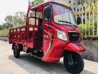 China 800W DAYANG Semi Cabin Cargo Tricycle with 250cc Engine and Hydraulic Strut Motorcycle for sale
