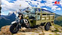 China DAYANG Prince DB-1 Cargo Tricycle 12V Front Shock Absorber Heavy Loading Wheels Motorcycle for sale