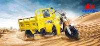 China DAYANG Prince DB-1 Cargo Tricycle 12V Front Shock Absorber Heavy Loading Wheels Motorcycle for sale