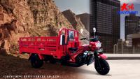 China DAYANG 300cc Motorcycle Tricycle 5 3 Rear Spring Leafs Open Body Type Red Cargo Adult for sale