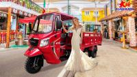 China 2021 Semi Cabin Motorized Cargo Tricycle 300cc with Integral Booster Drum Rear-Axle for sale