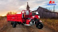 China DAYANG Heavy Loading 3-Wheel Motorcycle with Red Body Type and Full Floating Rear Axle for sale