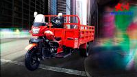 China DAYANG Lifan 250CC 300CC Cargo Motorized Tricycle with 5.0 inch Wheels and Orange Body for sale