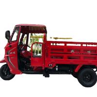 China DAYANG Motorized Cargo Trike 201 250CC Three Wheel Engine Tricycle for Heavy Loading for sale