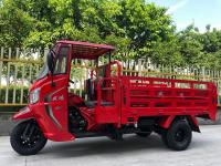 China DAYANG Motorized Cargo Trike 201 250CC Three Wheel Engine Tricycle for Heavy Loading for sale