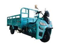 China 250CC Gasoline Motorized Cargo Tricycle with Big Load Capacity and Stability for sale