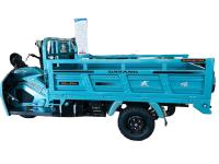 China 250CC Gasoline Motorized Cargo Tricycle with Big Load Capacity and Stability for sale