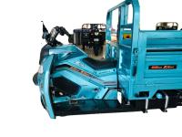 China 250CC Gasoline Motorized Cargo Tricycle with Big Load Capacity and Stability for sale