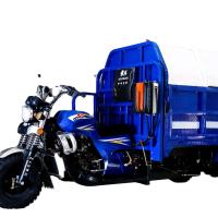 China 12V Three Wheeler Tricycle Motorcycle Motorized Cargo 200CC Tricycles for Transport for sale