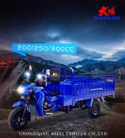 China Customized Blue Power Wheels 3 Wheels Motorcycle for Heavy Duty Cargo Transportation for sale