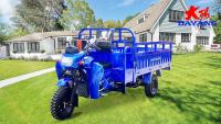 China Customized Blue Power Wheels 3 Wheels Motorcycle for Heavy Duty Cargo Transportation for sale