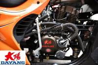 China 150cc Tricycle 200cc 3 Wheel Motorcycle 250cc Cargo Trike Motorized Driving Type 5.0 for sale