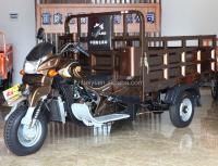 China 3500mm For Cargo BeiYi DaYang 150cc/175cc/200cc/250cc/300cc 2013 Passenger Tricycle for sale