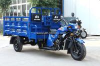 China 151cc BeiYi DaYang 4 Stroke Gasoline Engine Tricycle for Motorized Transportation for sale