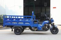 China 151cc BeiYi DaYang 4 Stroke Gasoline Engine Tricycle for Motorized Transportation for sale