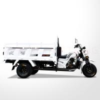 China 201 250cc Closed Motorized 800 W Trimoto with Rear 4 Wheel CN CHO for sale