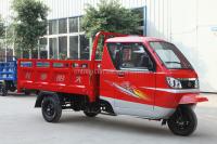 China Enclosed Electric CARGO Three Wheel Motorcycle Trike Bike for Customer Requirements for sale