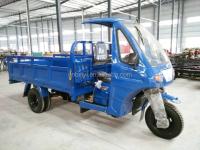 China 250cc Heavy Duty Cargo Motorized 3 Wheel Motorcycle with Simple Design in Philippines for sale