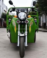 China 150cc Motorized Cargo Tricycle Trike Bike with Motorized Driving Type in Chongqing for sale