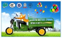 China 150cc Motorized Cargo Tricycle Trike Bike with Motorized Driving Type in Chongqing for sale