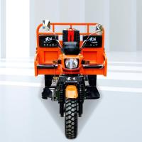 China 2016 DAYANG 200cc/250cc/300cc Three Wheel Motorized Cargo Tricycle with 5.00-12 Tires for sale