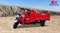 China DAYANG 150CC/200CC LED Light 3-wheel Motorcycle Car Perfect for Cargo Transportation for sale