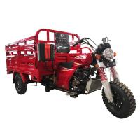 China 175cc Engine 2021 Chongqing DaYang Motorized Cargo Tricycle for Multiple Applications for sale