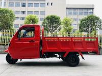 China Fuel Type Petrol Gasoline 250cc 3 Wheels Motorcycle Damping Ambulance Cargo Tricycle for sale