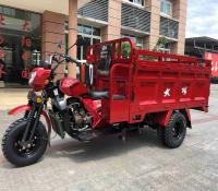 China Powerful Engine 250cc Three Wheel Motorcycle for Heavy Loading and Customized Needs for sale