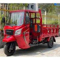 China Petrol Fuel Type 250cc Cargo Tricycle with Heavy Load Capacity and 3 Wheels for sale