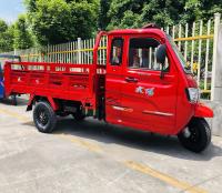 China Drum Brake DAYANG Enclosed Cabin Tricycle 250CC/300CC/350CC Three Wheel Motorcycle in Red for sale