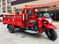 China Open Body Type Tricycle with Powerful Engine 200CC/250CC/300CC Three Wheel Motorcycle for sale