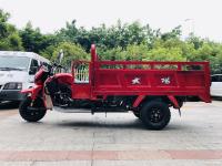 China Open Body Type Tricycle with Powerful Engine 200CC/250CC/300CC Three Wheel Motorcycle for sale