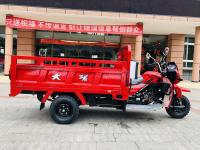 China Electric Kick Start 200cc/250cc/300cc Cargo Tricycle for High Capacity Transportation for sale