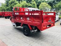 China Electric Kick Start 200cc/250cc/300cc Cargo Tricycle for High Capacity Transportation for sale