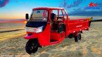China 200CC/250CC/300CC Motorized Tricycles with Open Body Type Three Wheel Motorcycle for sale