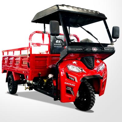 China 800W Cargo Tricycle 200CC/250CC/300CC Three Wheel Motorcycle with Open Body Type for sale